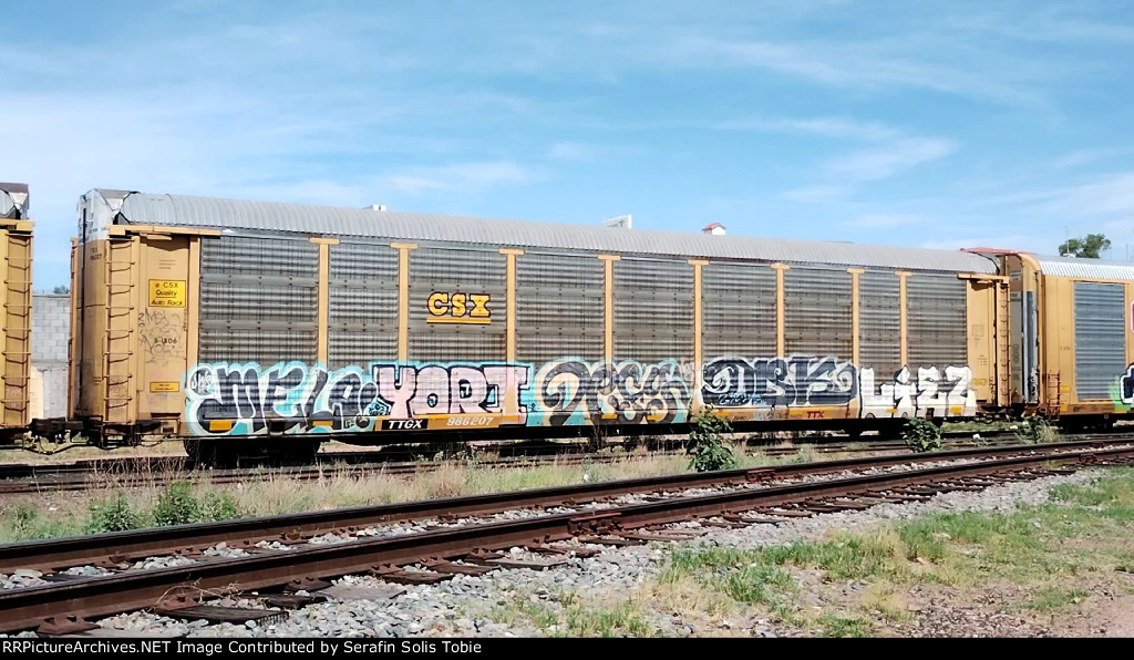 CSX B1806 TTGX 986207