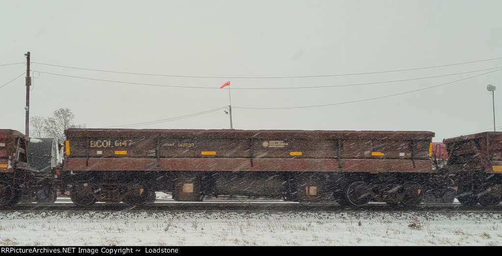 BCOL 6147