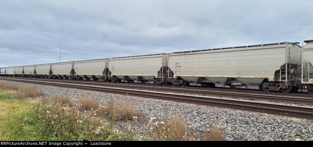 CEFX 319894 CEFX 319645 CEFX 319648 CEFX 319730 CEFX 319705 CEFX 319688 CEFX 319680