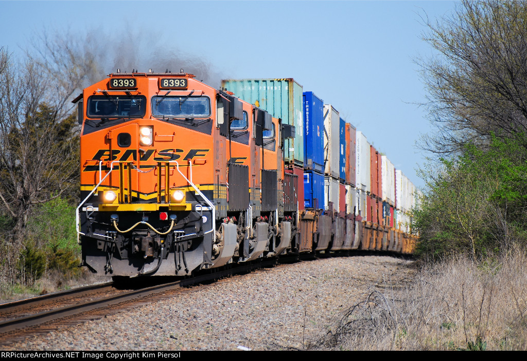BNSF 8393