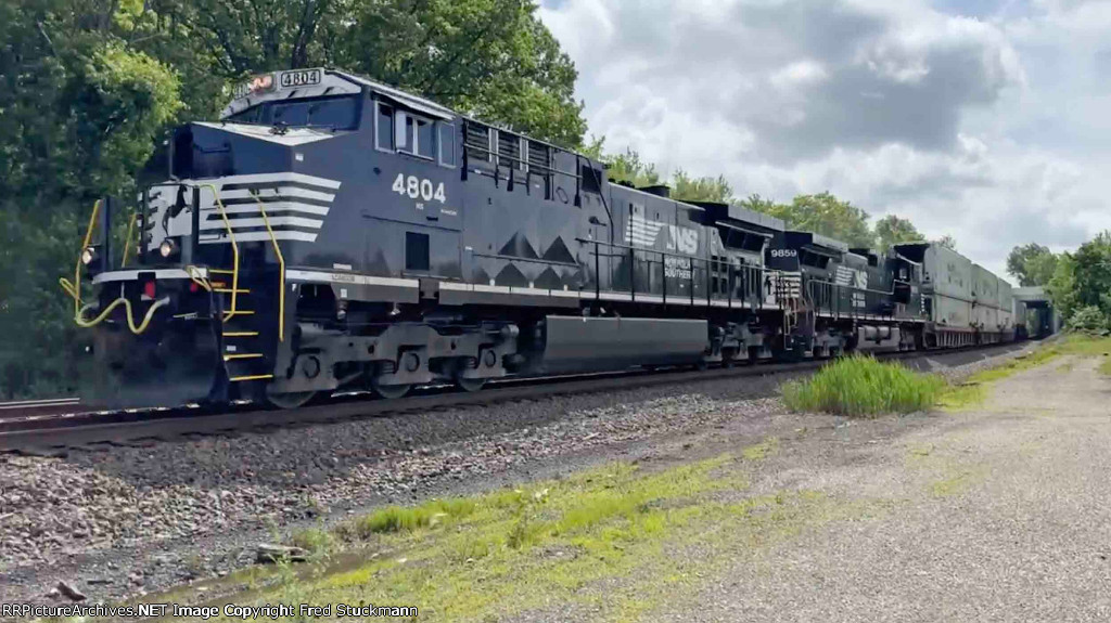 NS 4804 is new to rrpa.