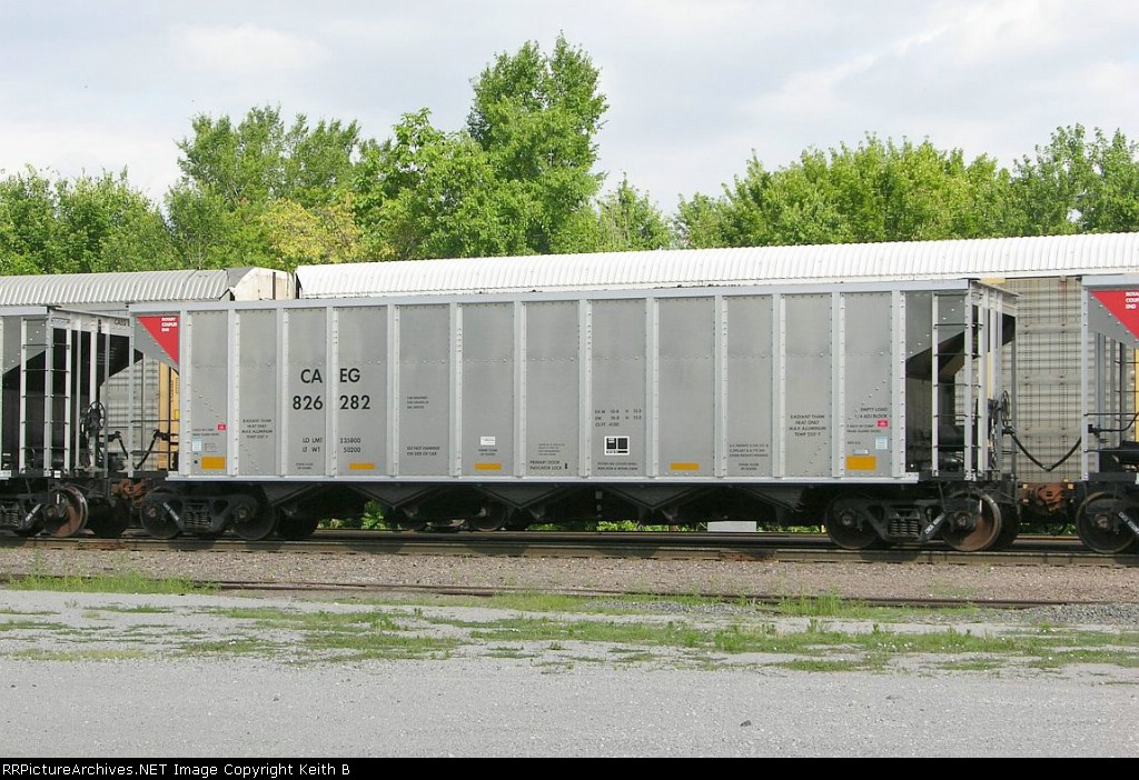 CAEG 826282