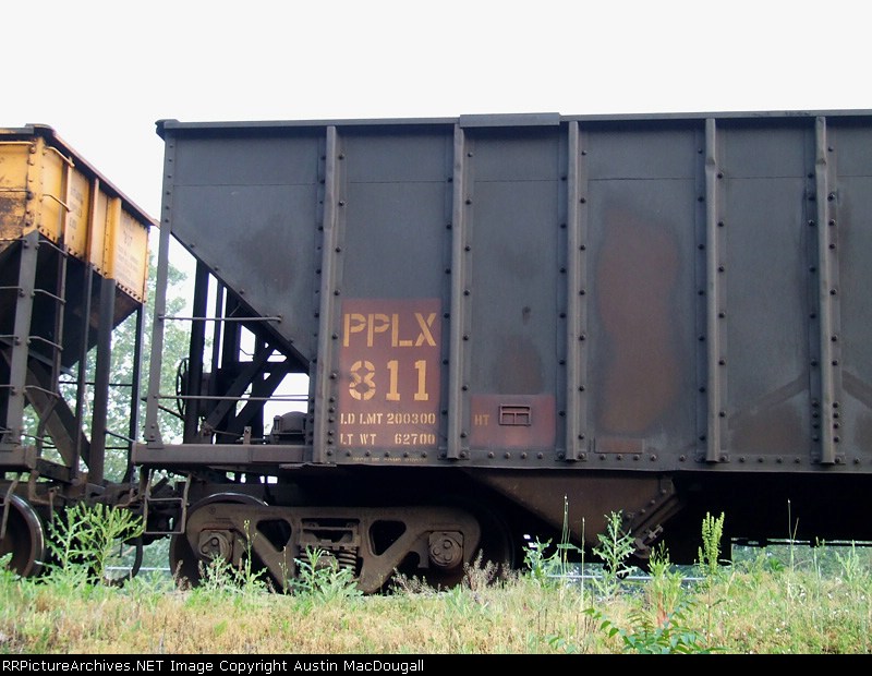PPLX 811