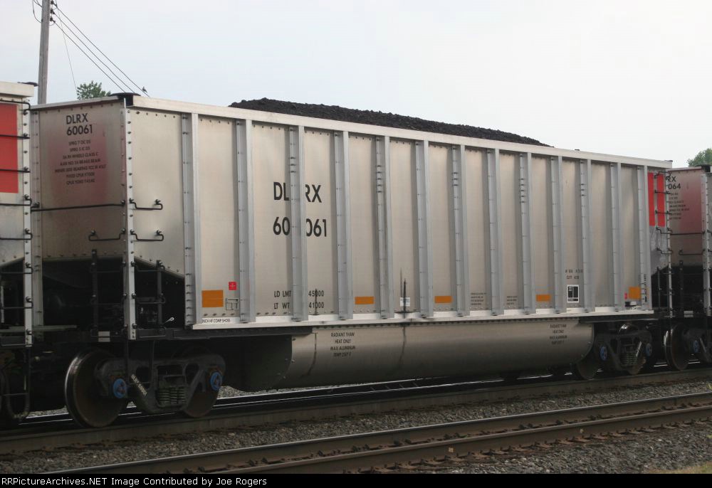 DLRX 60061