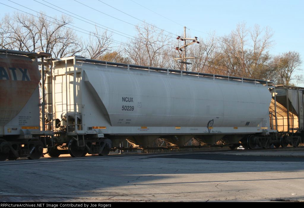 NCUX 50239