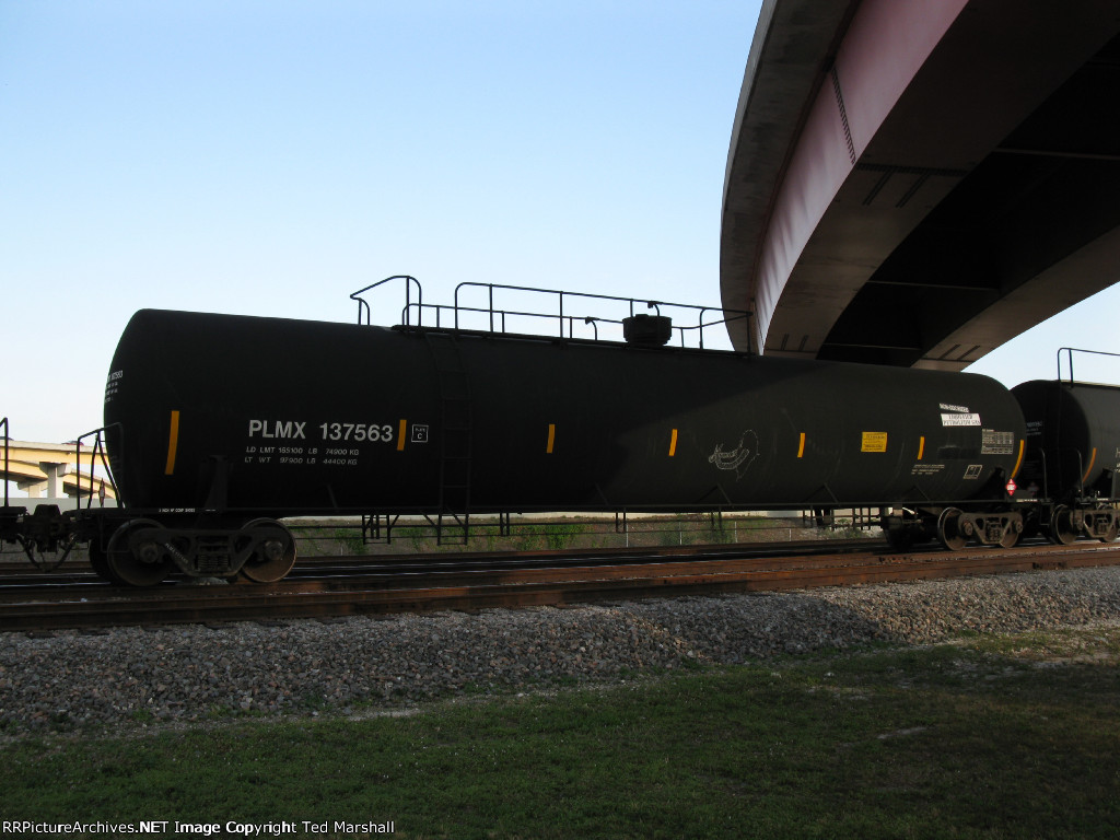 PLMX 137563