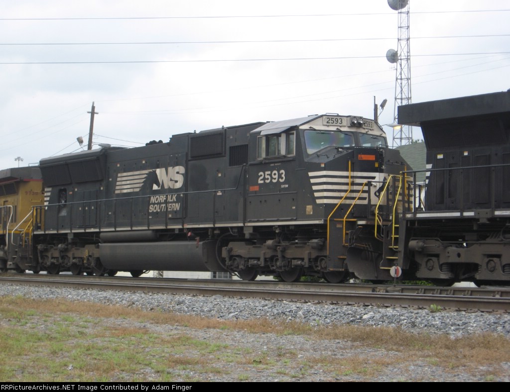 NS 2593