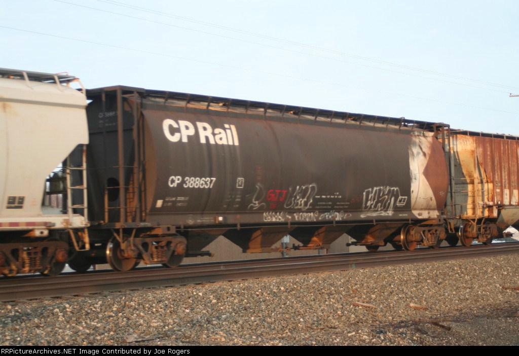 CP 388637
