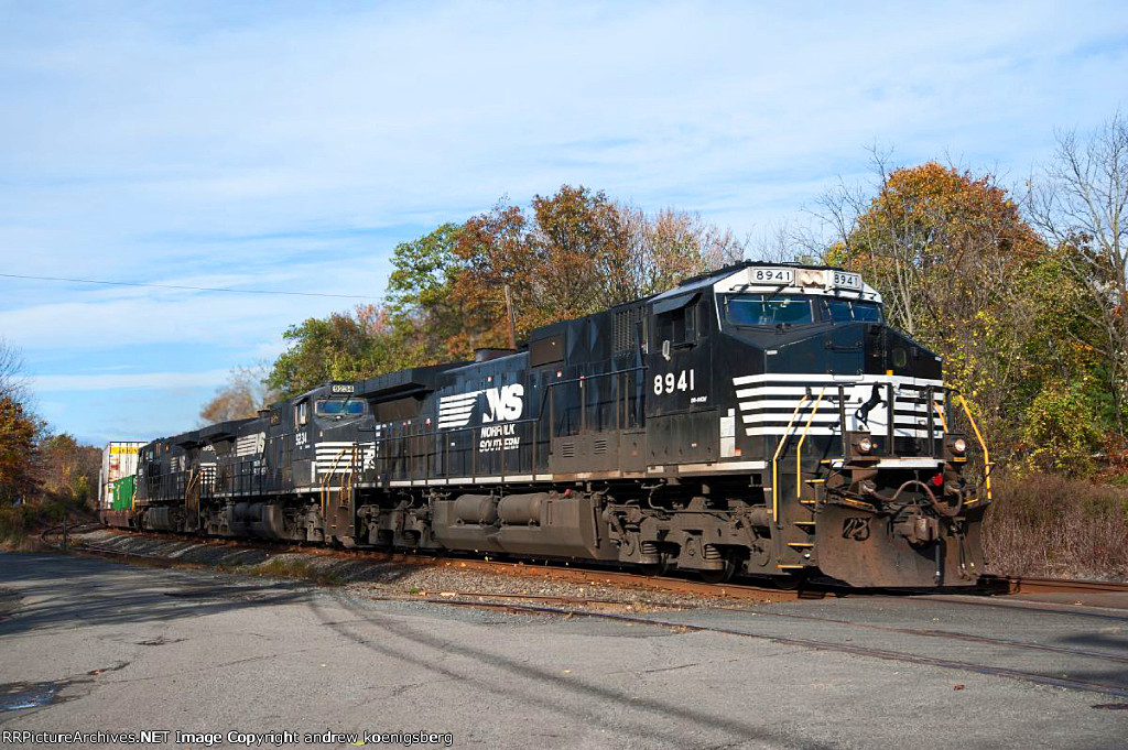 NS 8941