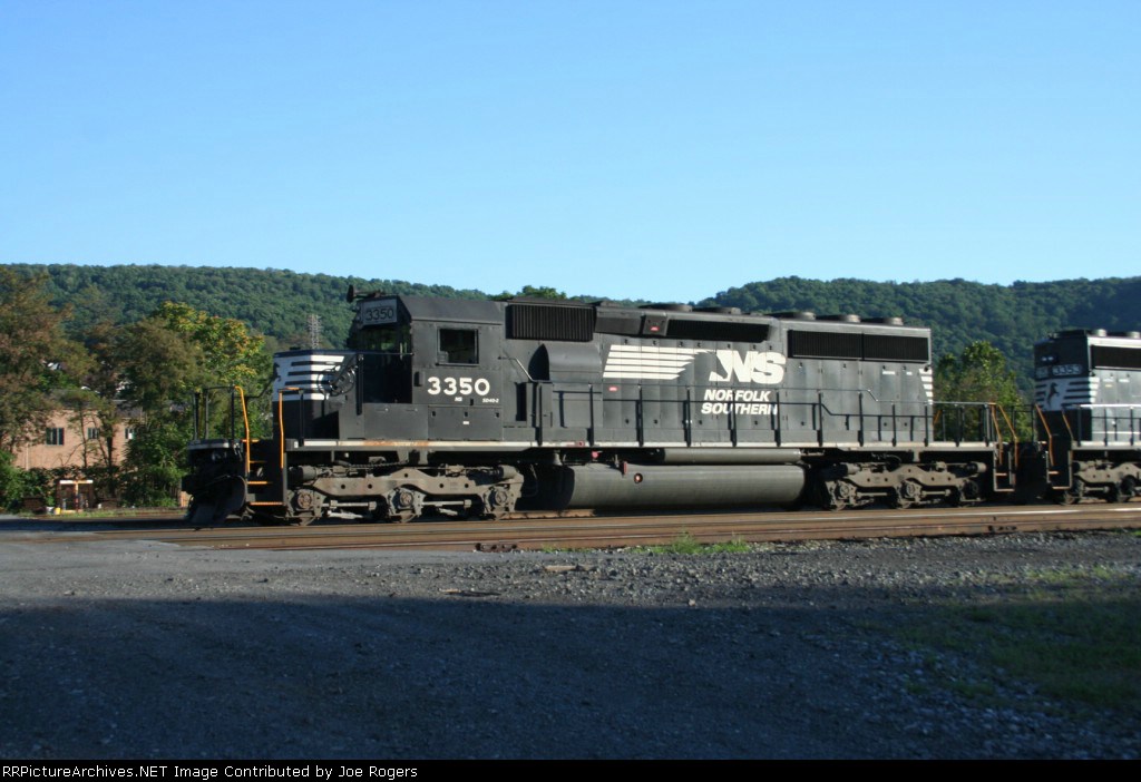 NS 3350