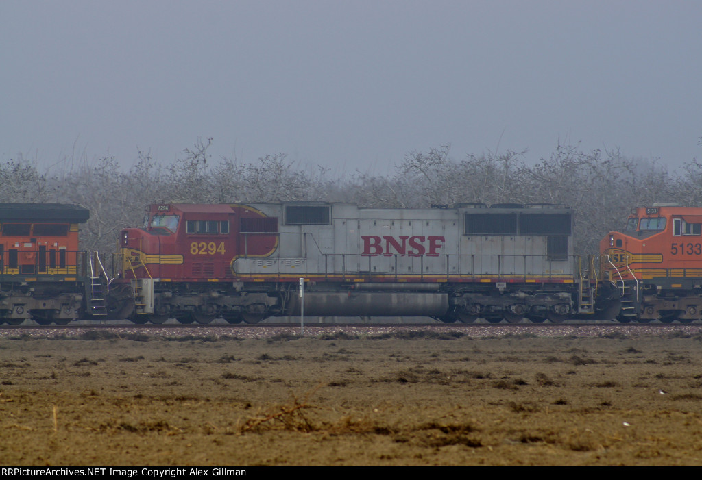 BNSF 8294 Eastbound