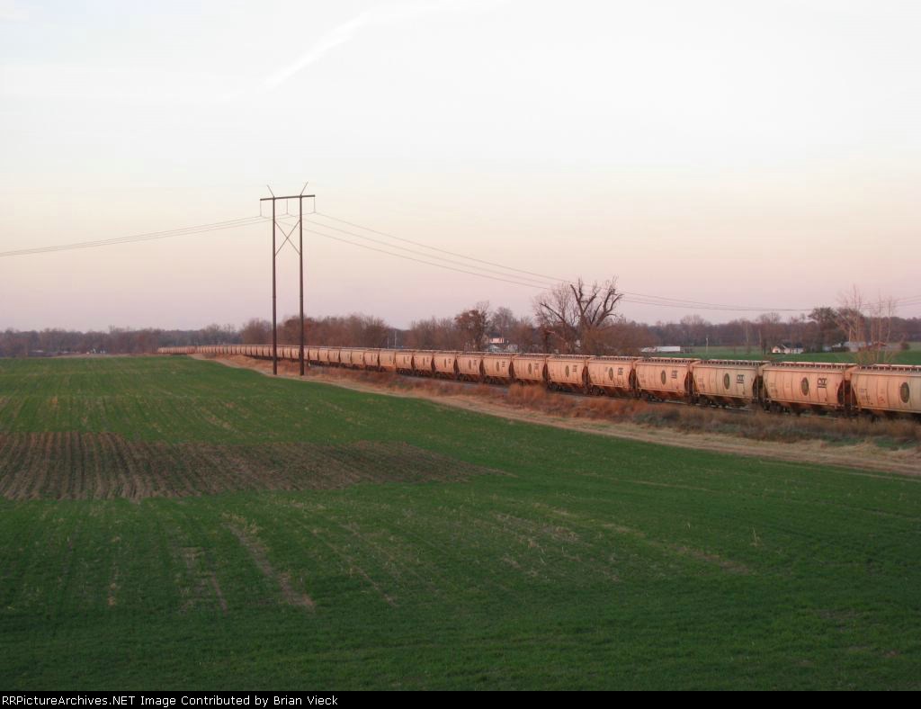 Northbound grain train