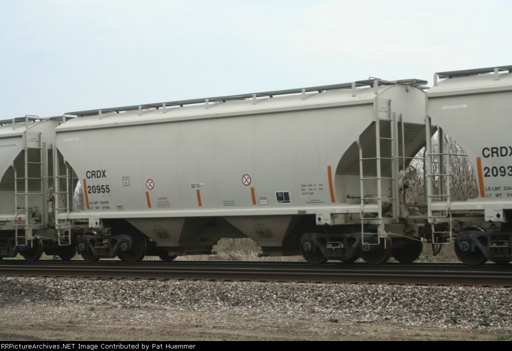CRDX 20955