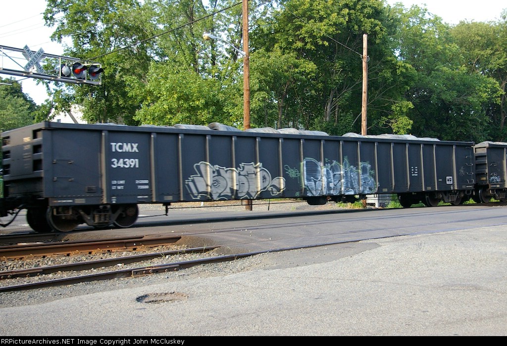 TCMX 34391