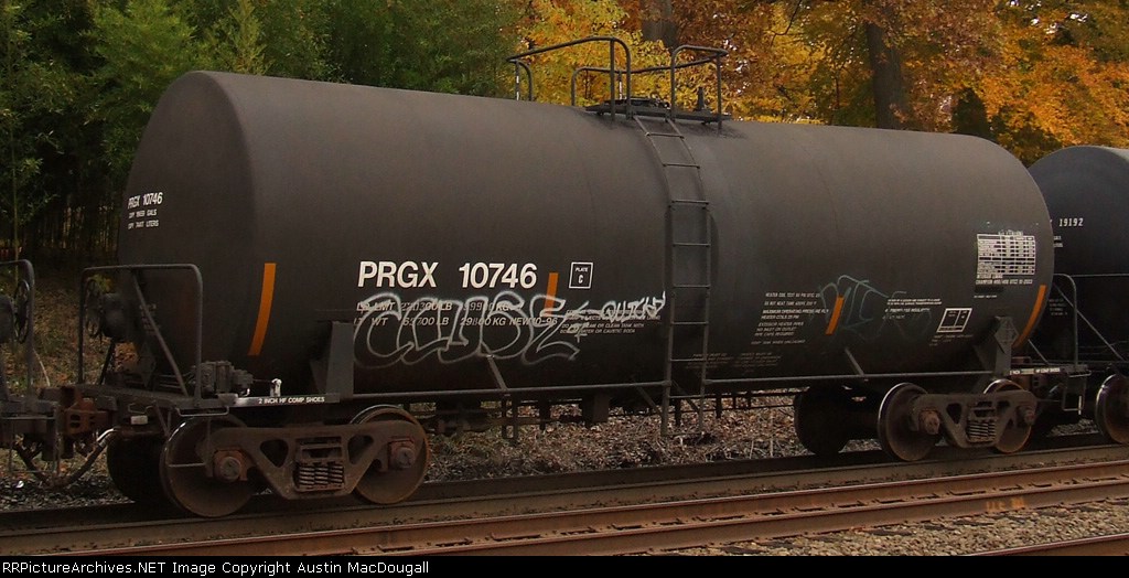 PRGX 10746