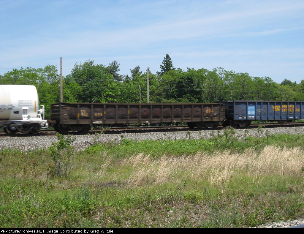 CO 356023