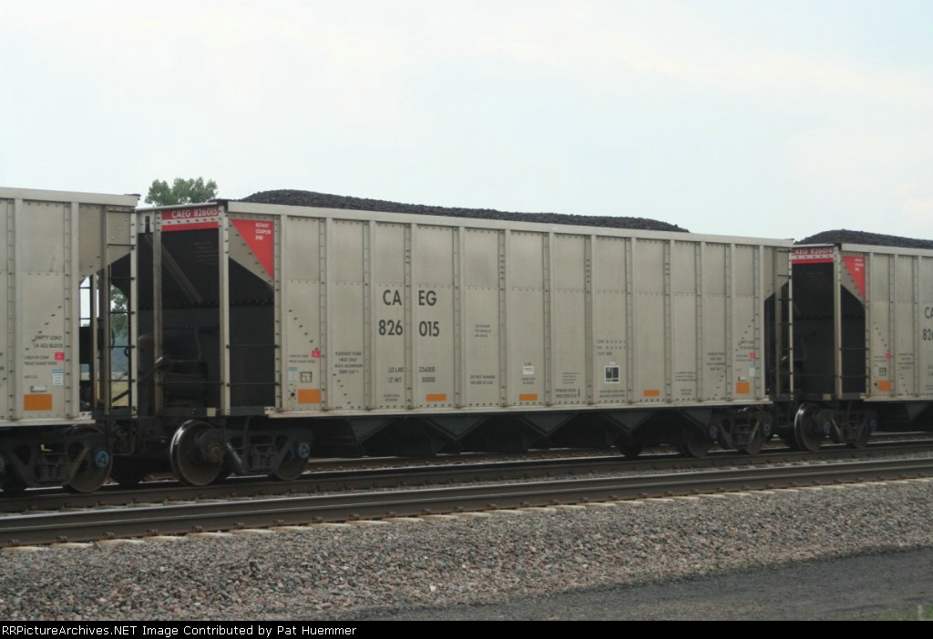 CAEG 826015