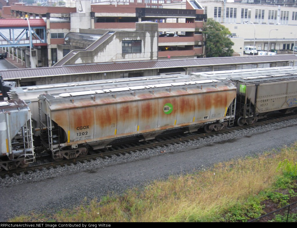 CGOX 1202