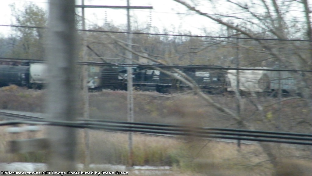NS in Bison Yard