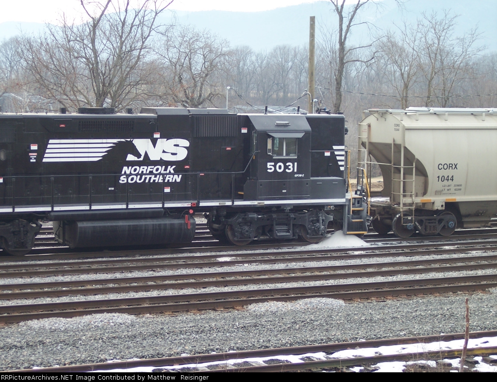 NS 5031