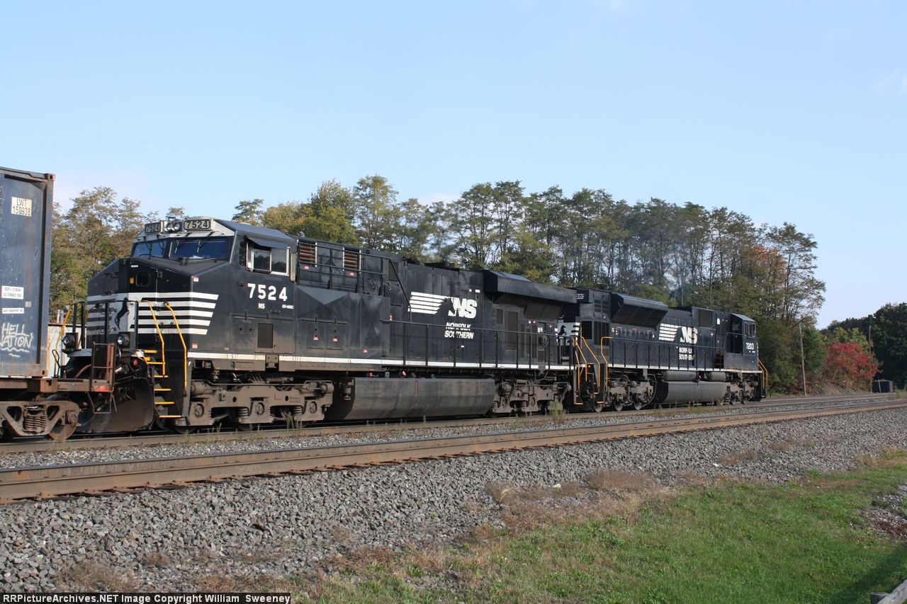 NS 7524