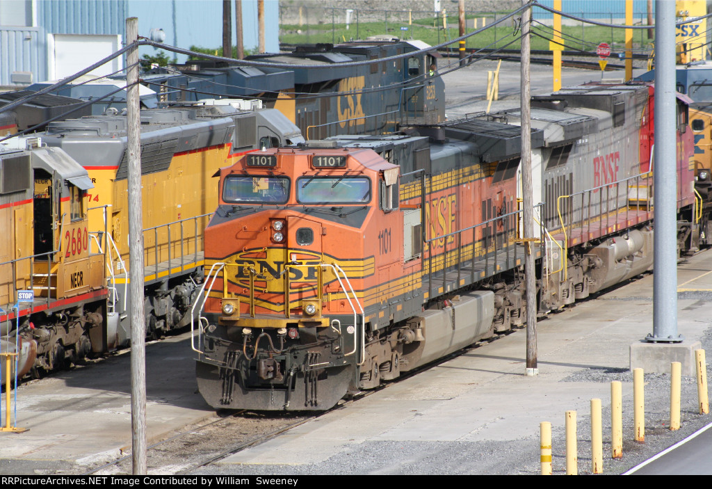 BNSF 1101
