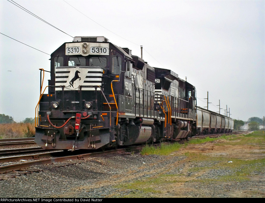 NS 5310