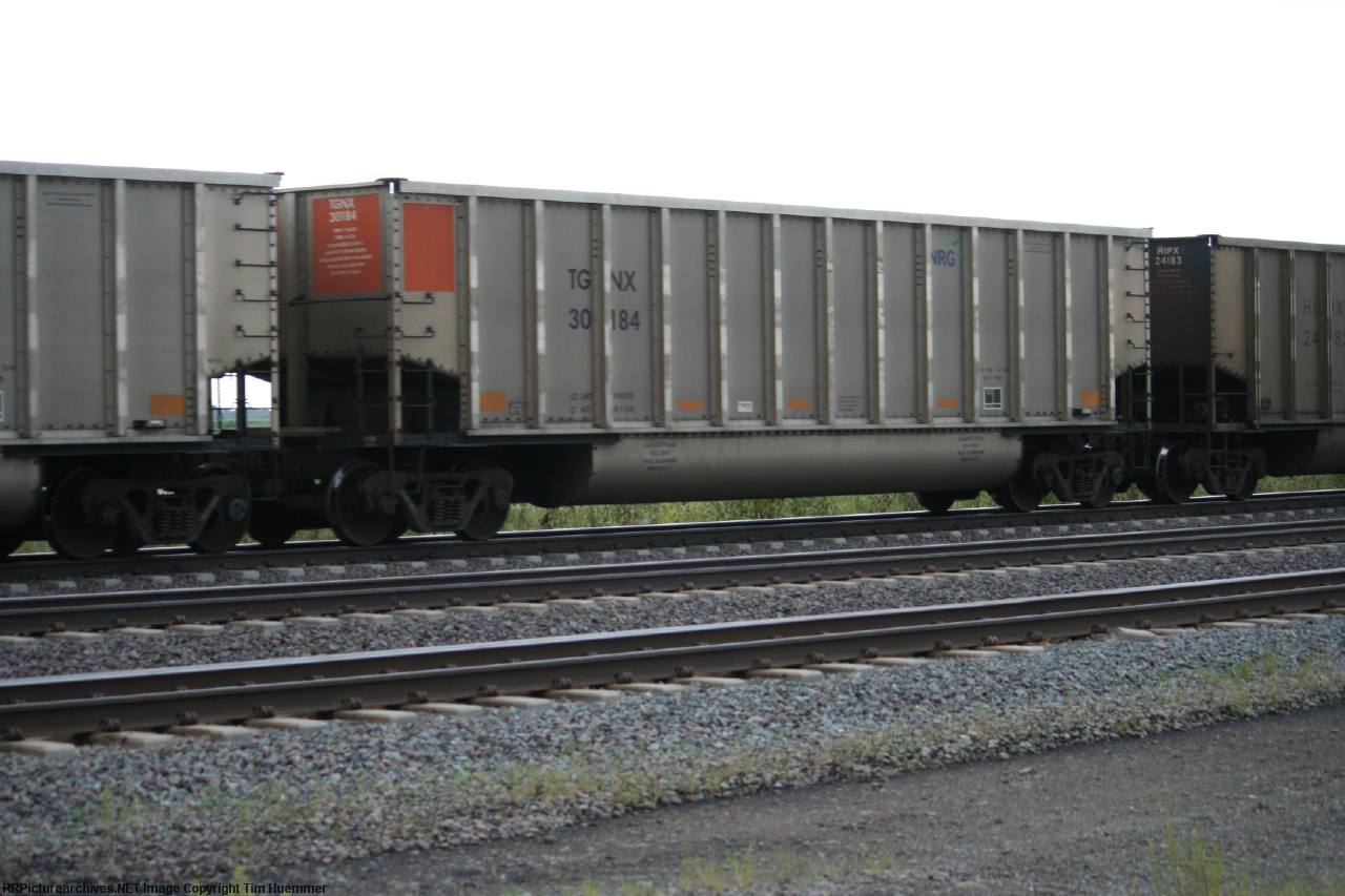 TGNX 30184