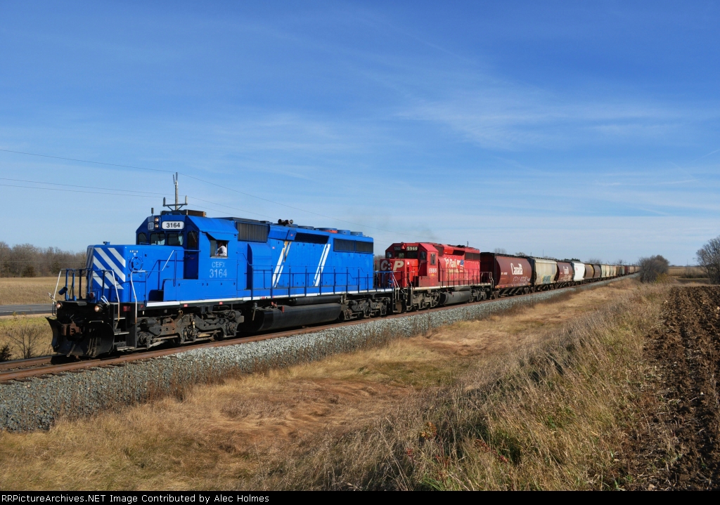 CP 491
