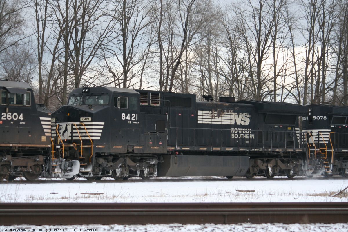 NS 8421