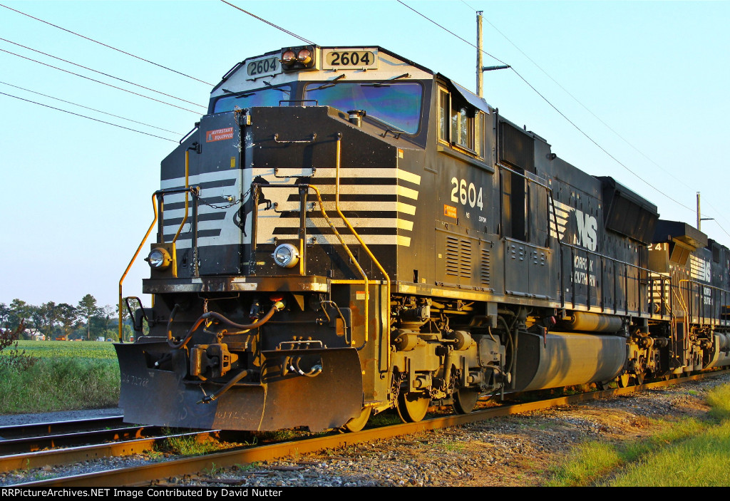NS 2604