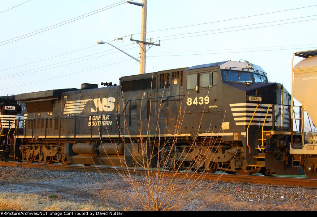NS 8439