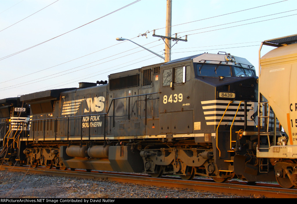 NS 8439