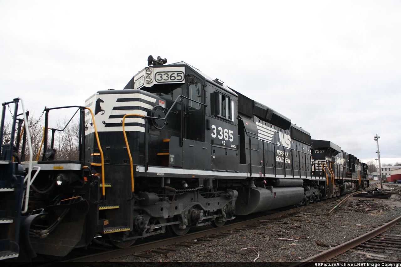 NS 3365