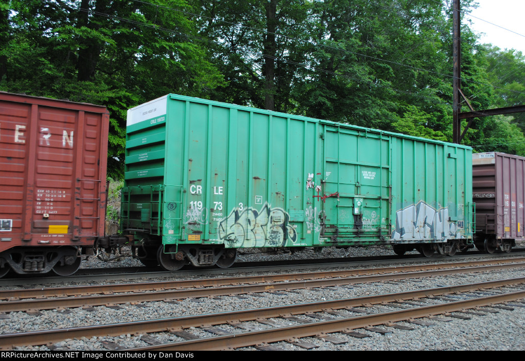 CRLE 119733 has an ICH