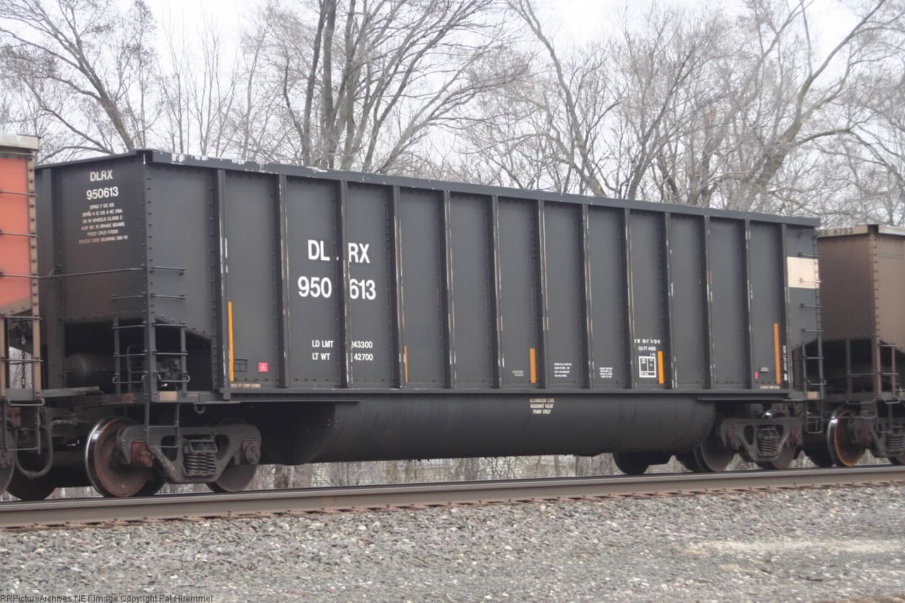 DLRX 950613
