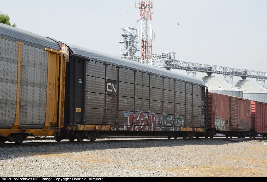 TTGX CN Autorack with graffiti