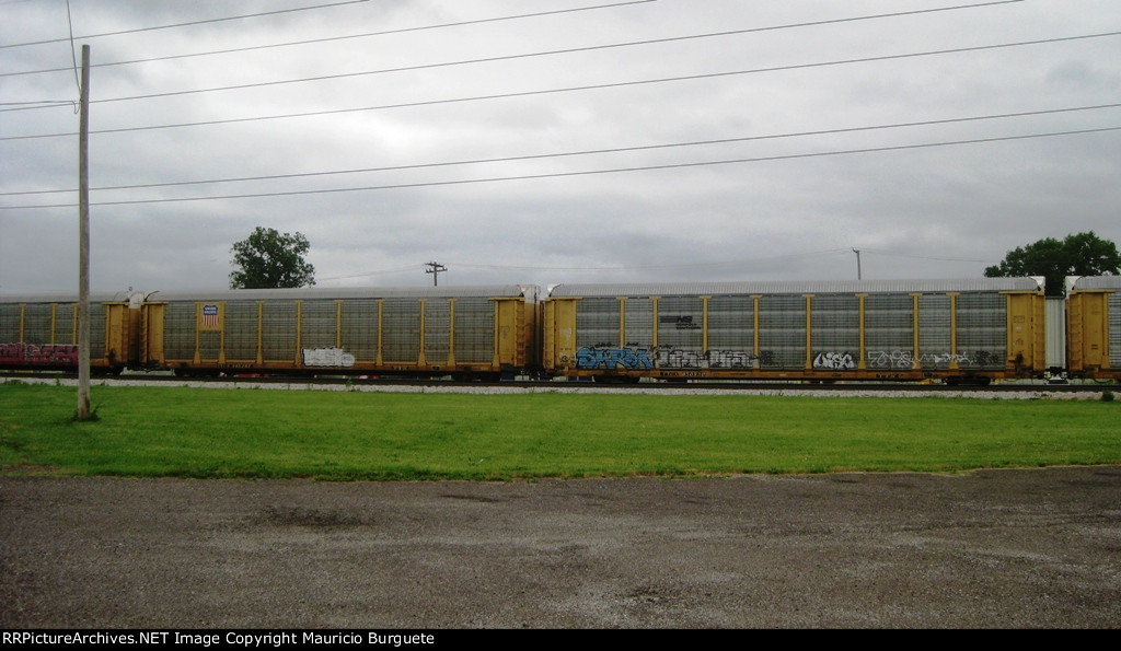 TTGX NS & UP Autoracks