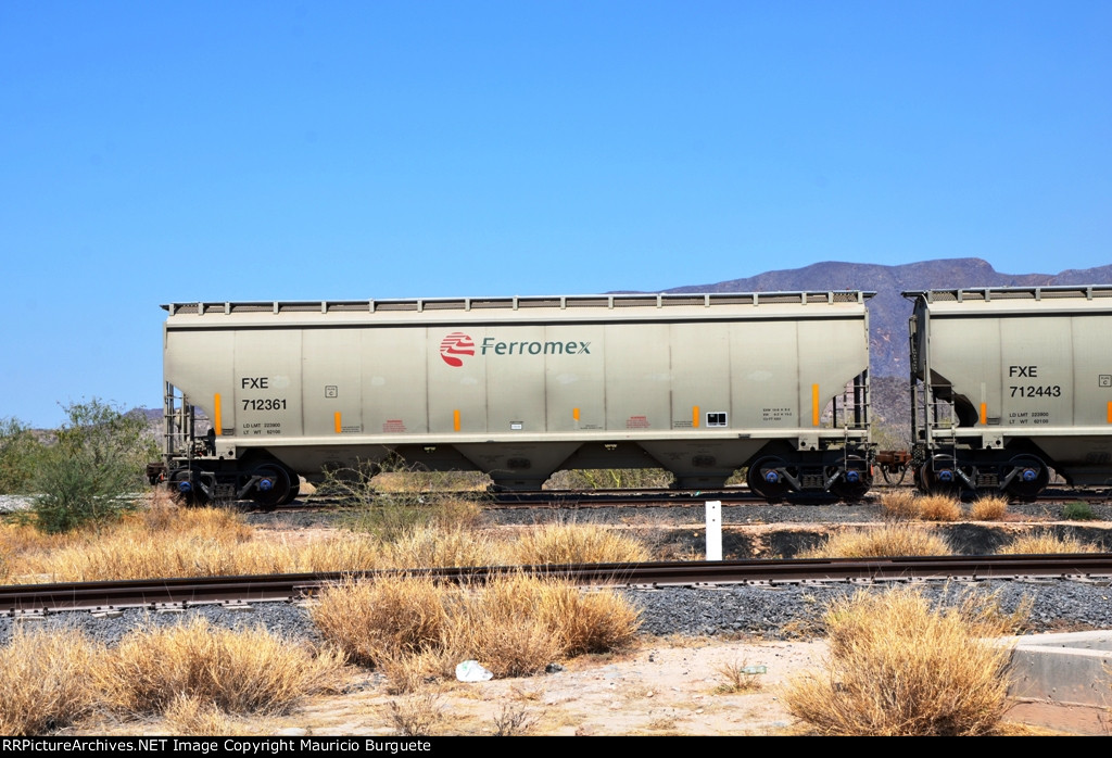 FXE Covered Hopper with new logo