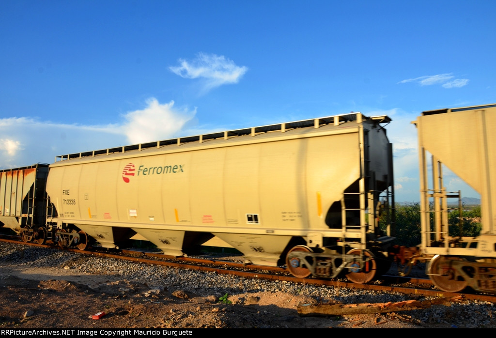 FXE Covered hopper with new logo