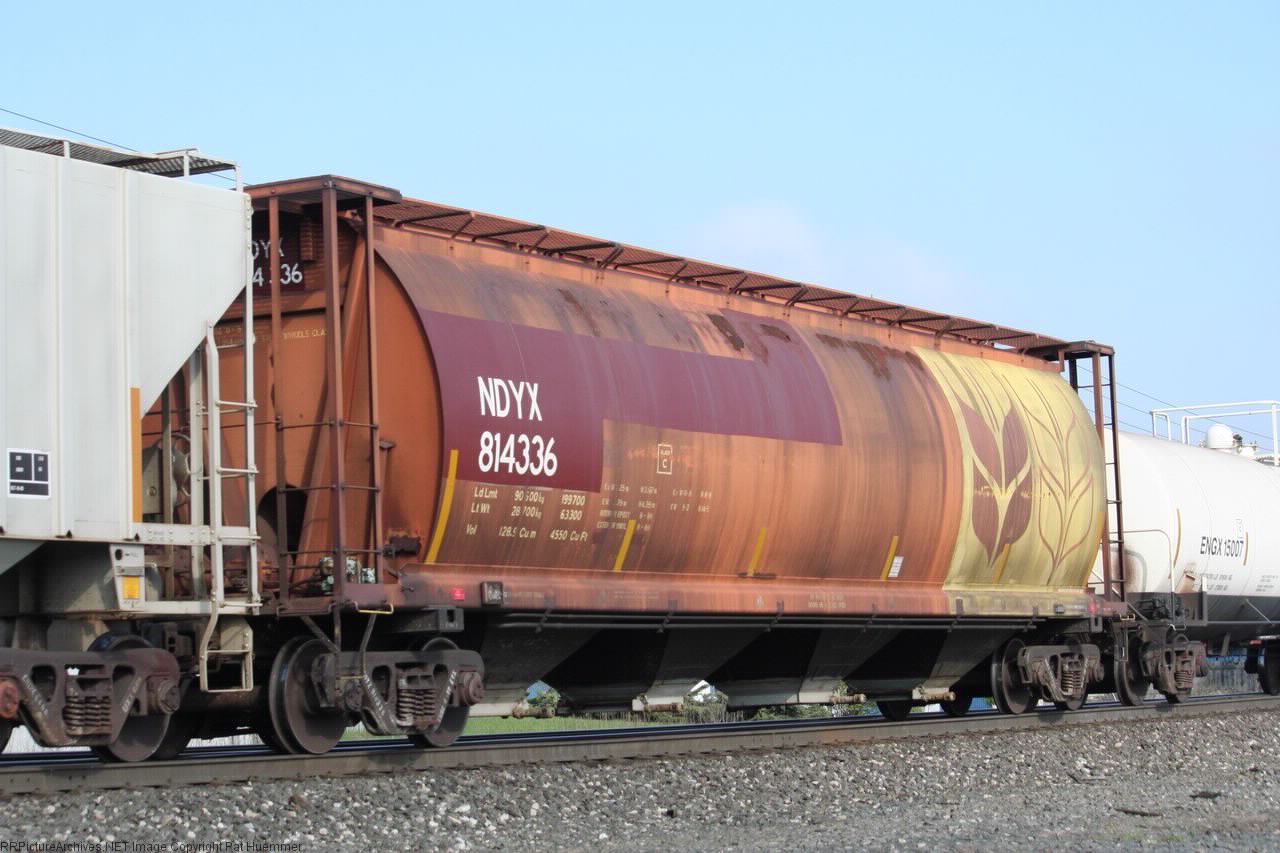 NDYX 814336