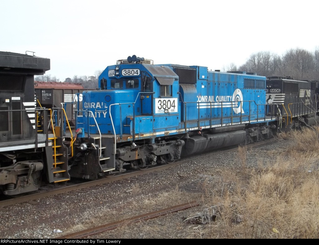 NS SD38 3804