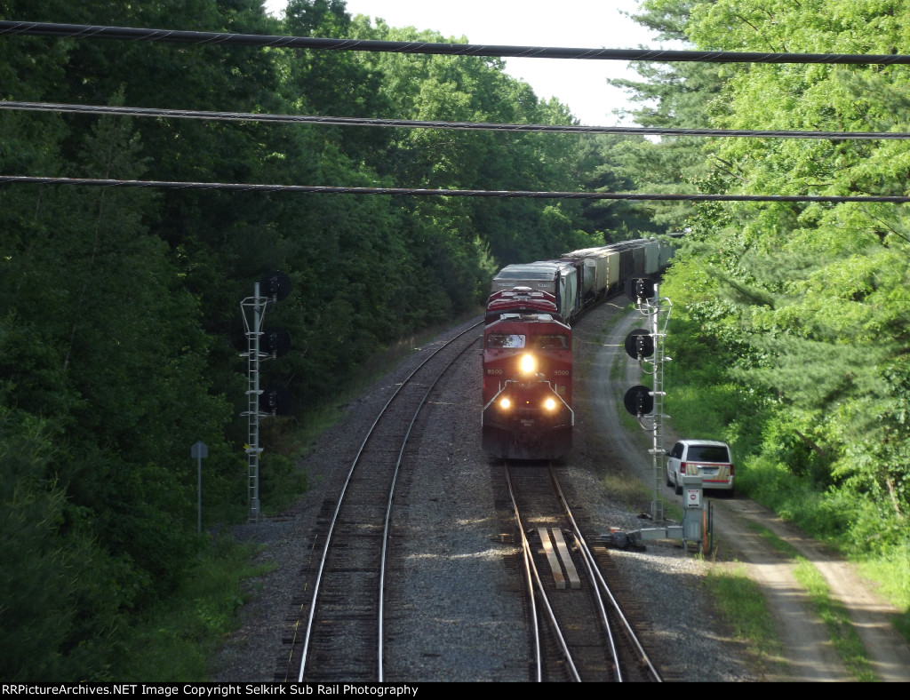 CP 253