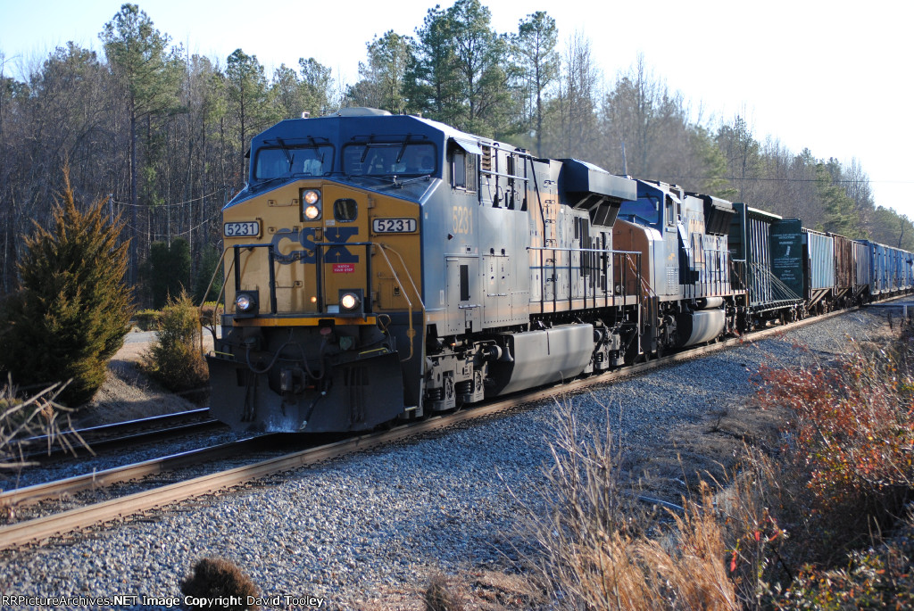 CSX Q406-13