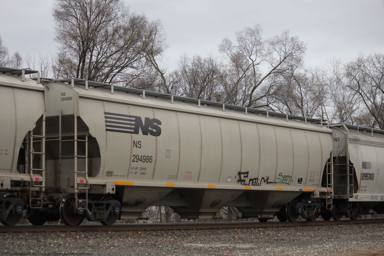 NS 294986
