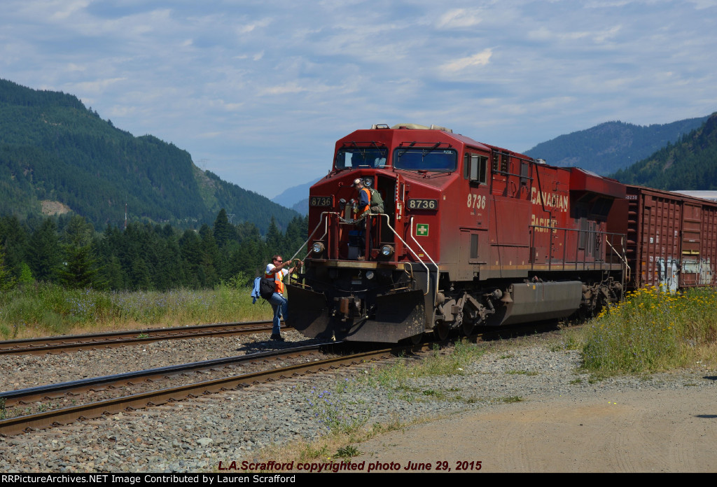 CP 8736 W/B
