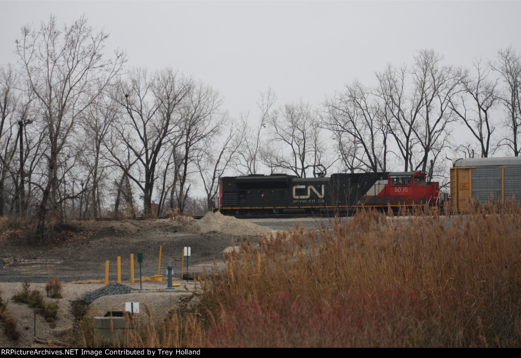 CN 8005