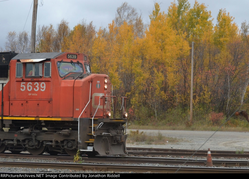 CN 5639