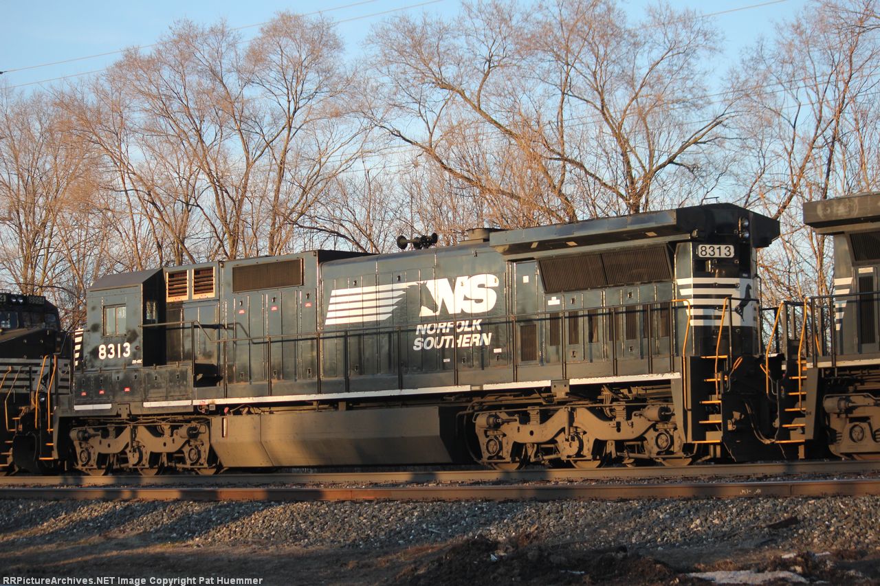 NS 8313