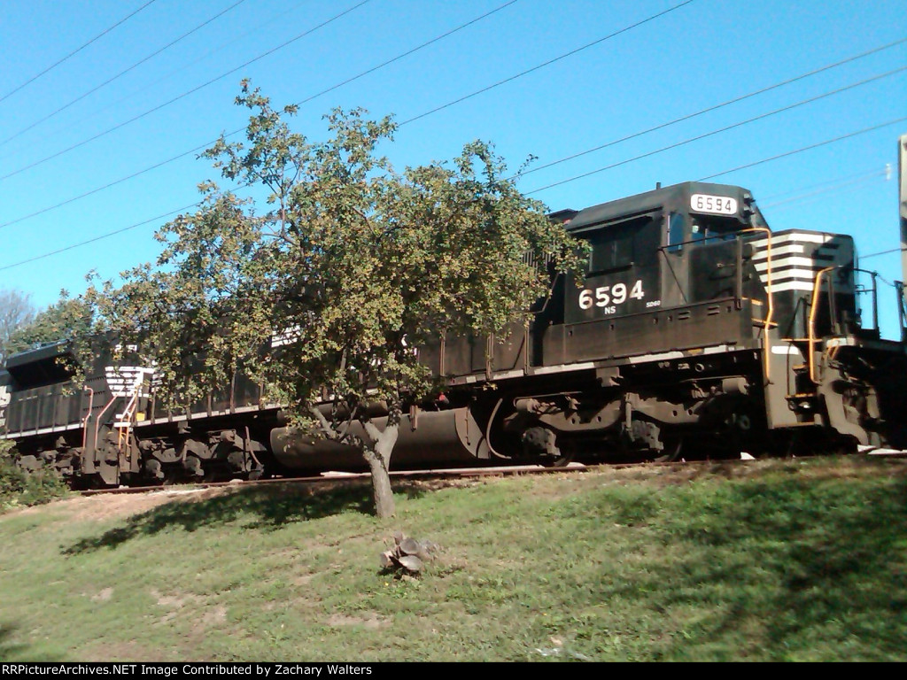NS 6594